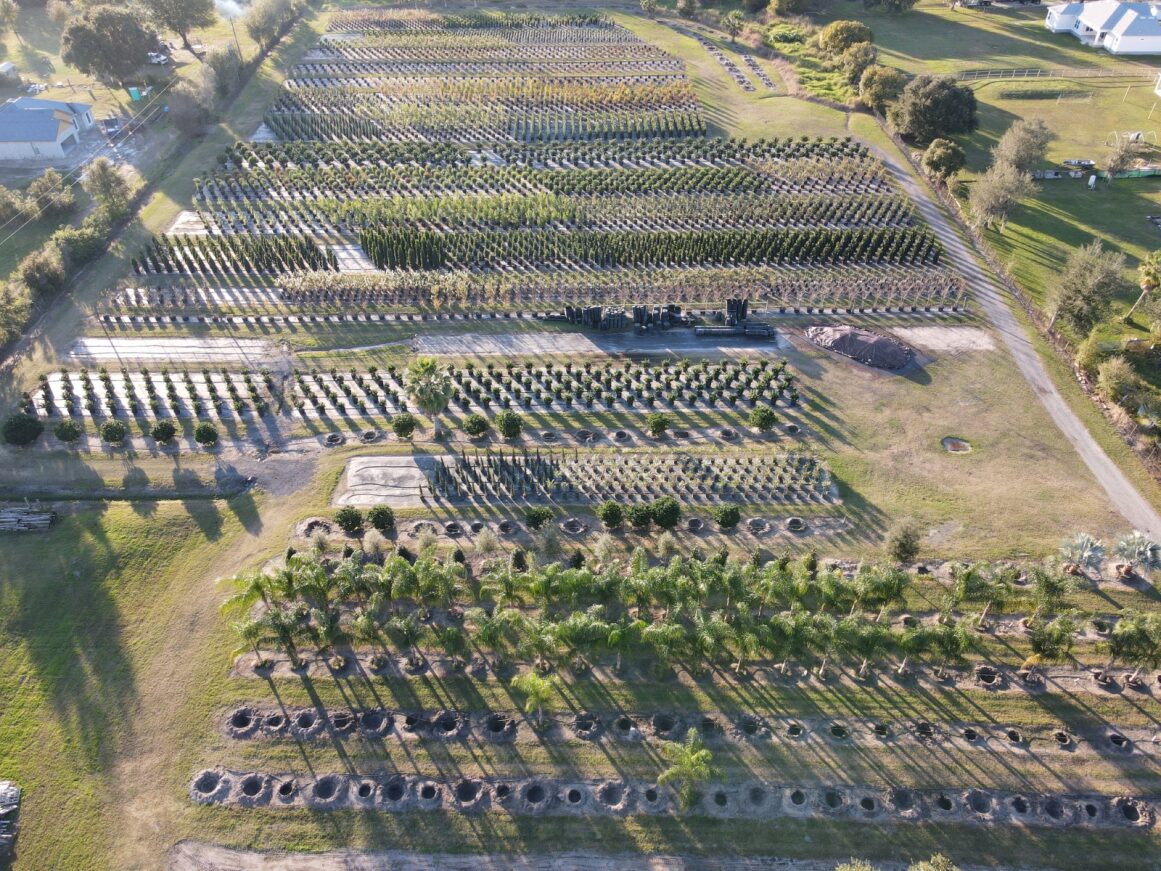www.turnerstreefarm.com – 3814 Stanley Road – Plant City, FL